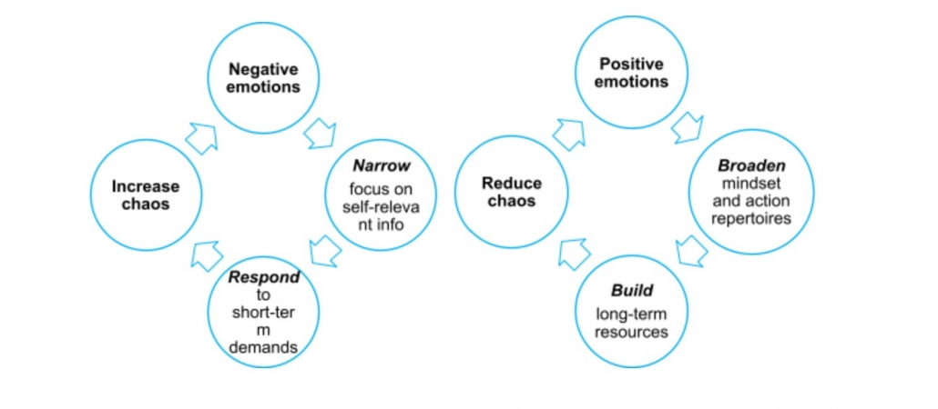 Blog – NeuroSystemics